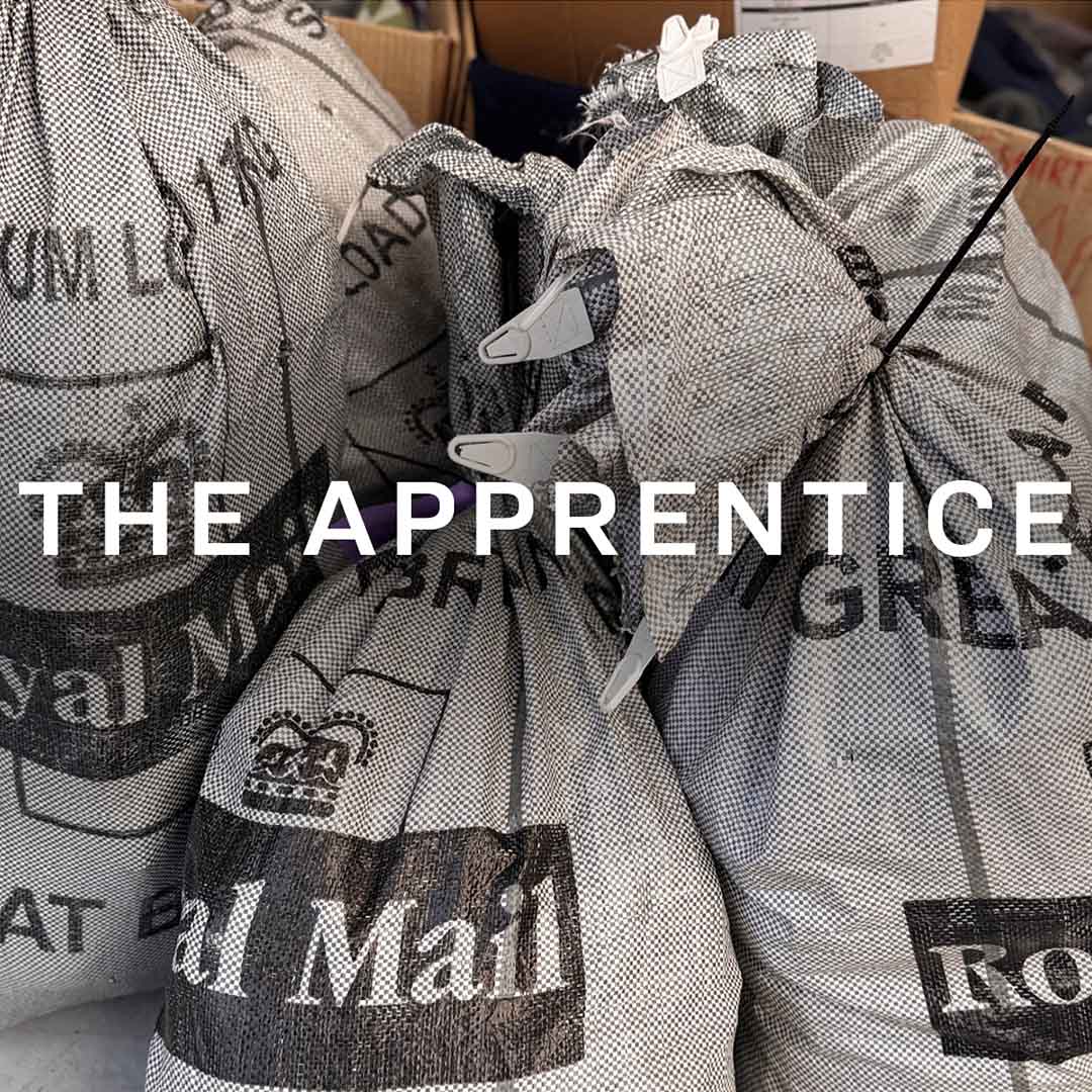 The Apprentice
